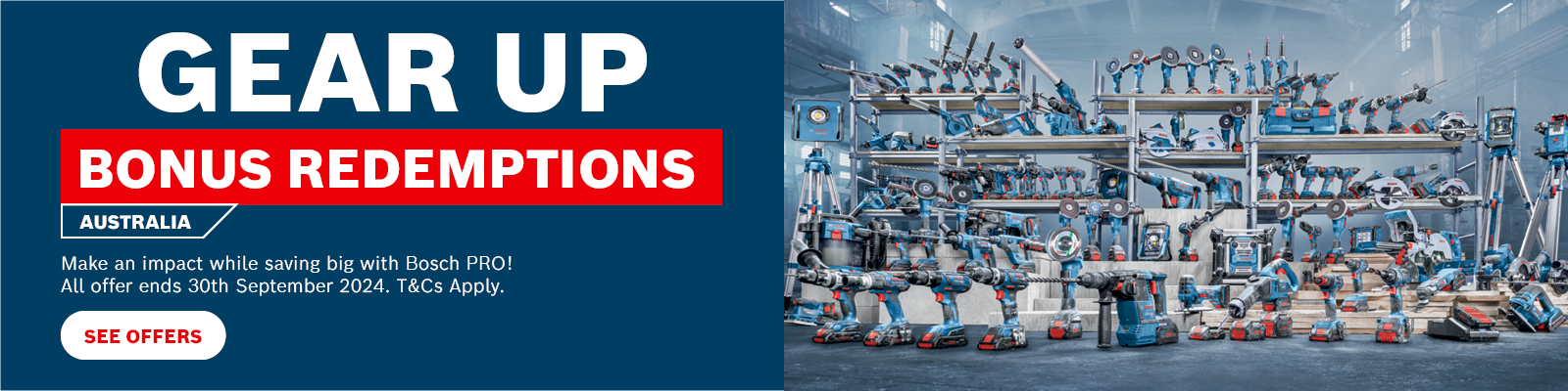 Bosch Blue Promotions